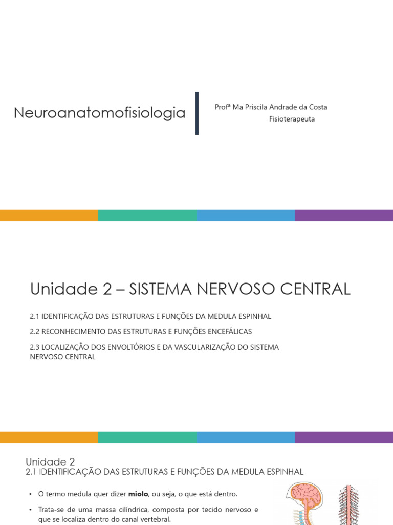 Unidade 2 Seção 2.1 e 2.2 Funções Da Medula e Encéfalo | PDF | Medula ...