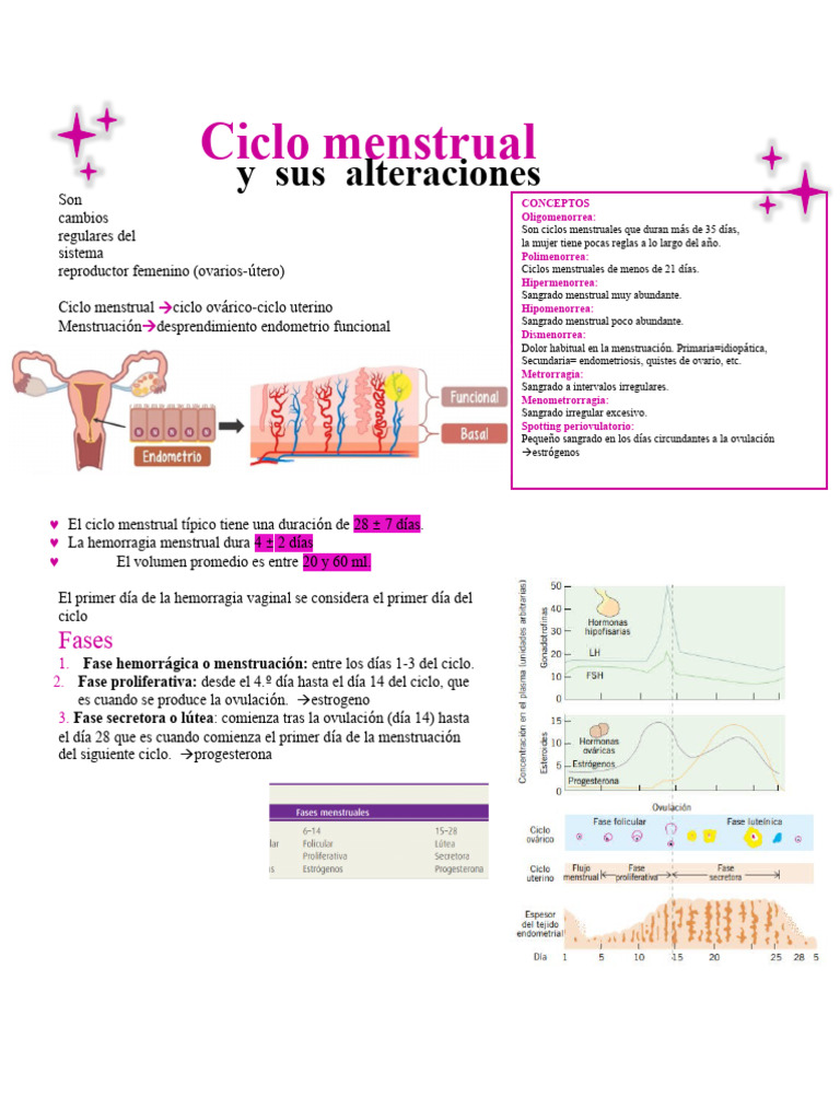 Ciclo Menstrual | PDF | Hormona luteinizante | Ciclo menstrual