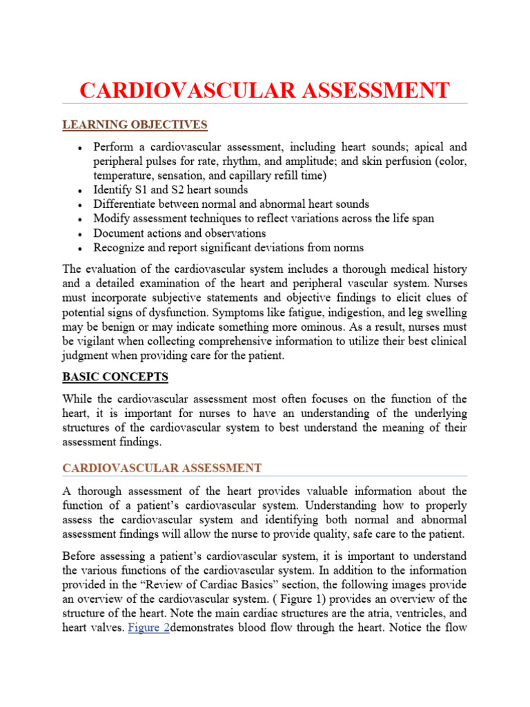 Cardiovascular Assessment | PDF | Heart | Heart Valve