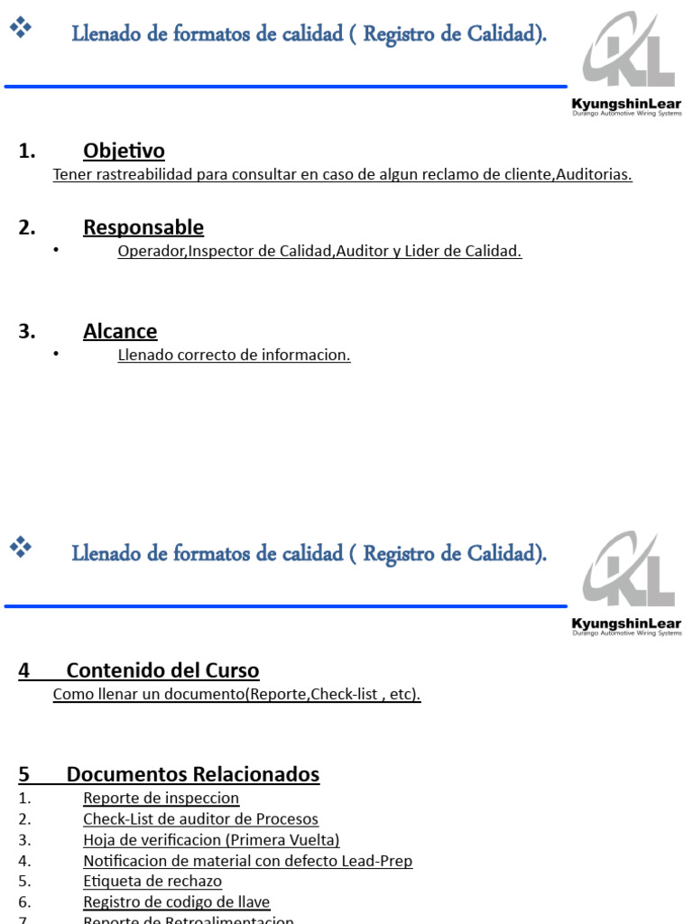 Llenado de reportes de Calidad | PDF