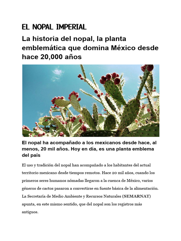 EL NOPAL IMPERIAL y Las Plantas Xerofitas | Descargar gratis PDF | Hoja | Plantas