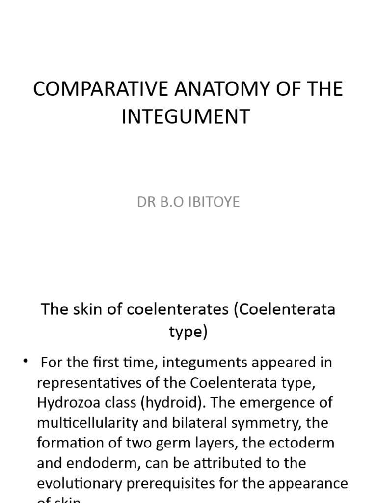 The Integument From Fish To Mammals, Bone Cartilage Tendons, Ligament ...