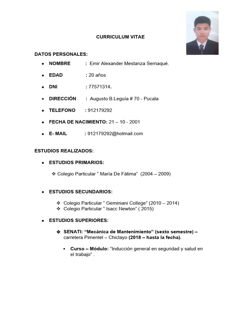 Curriculum Vitae - Alex | PDF