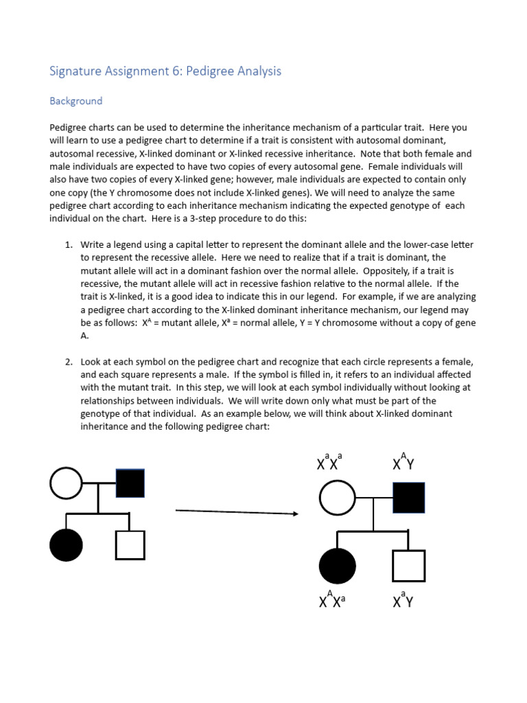 Signature Assignment 6 Pedigree | Download Free PDF | Dominance ...