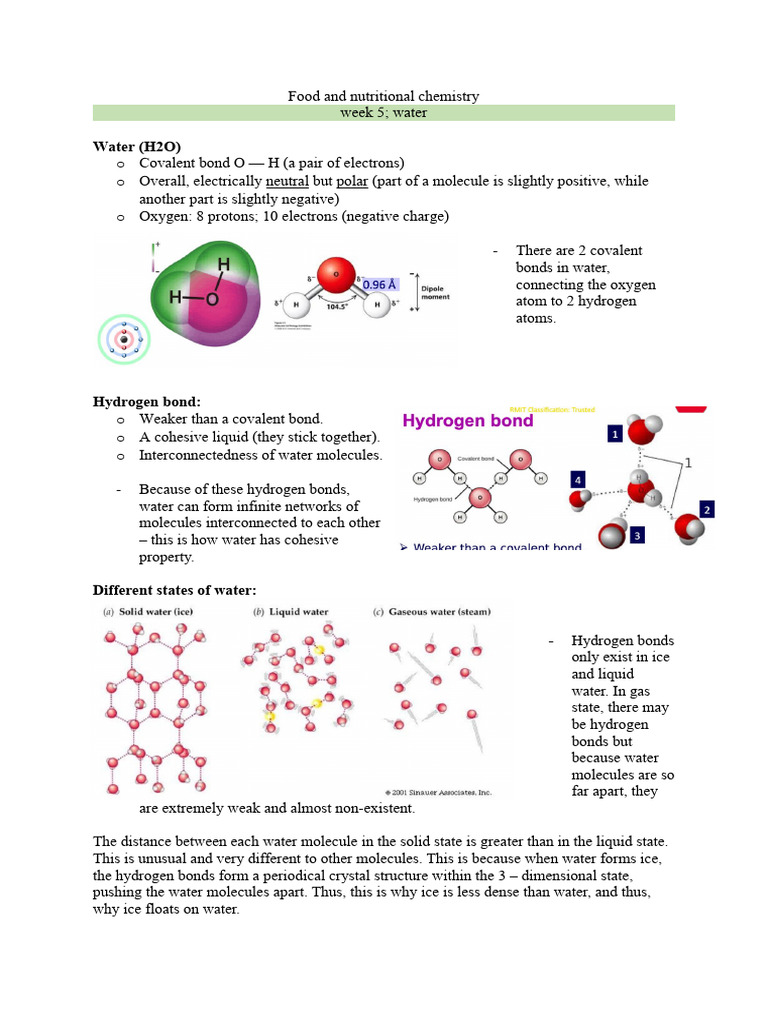 Food and Nutritional Chemistry Week 5 Water | PDF | Chemical Bond | Water