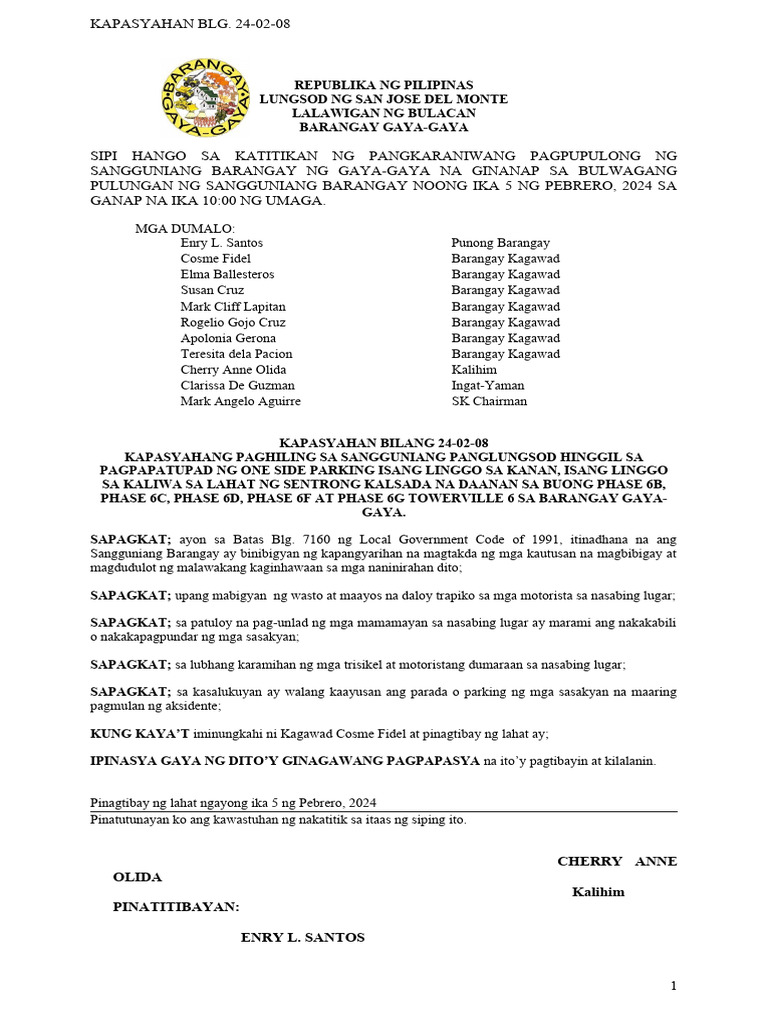 Resolution One Side Parking | PDF