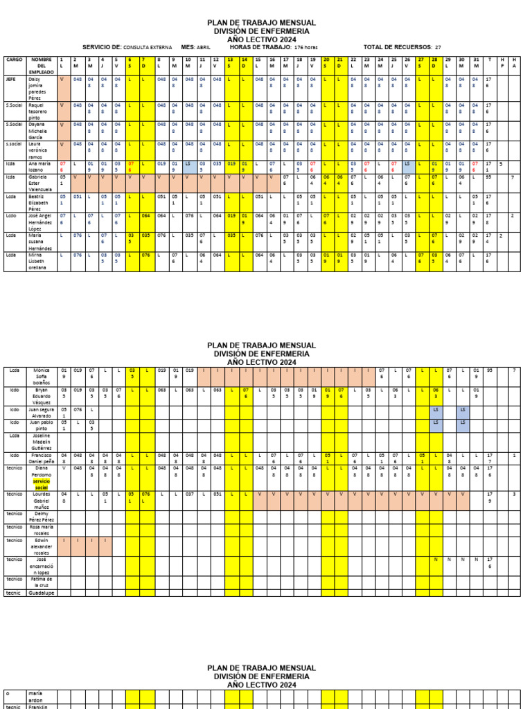 PLAN DE TRABAJO MENSUAL lic daisy | PDF