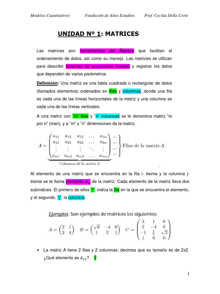UNIDAD Nº 1- MATRICES | PDF | Matriz (Matemáticas) | Física Matemática