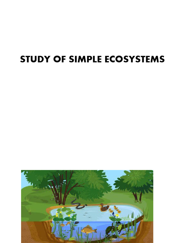 Study Of Simple Types Of Ecosystem Pdf Pond Aquatic Ecosystem