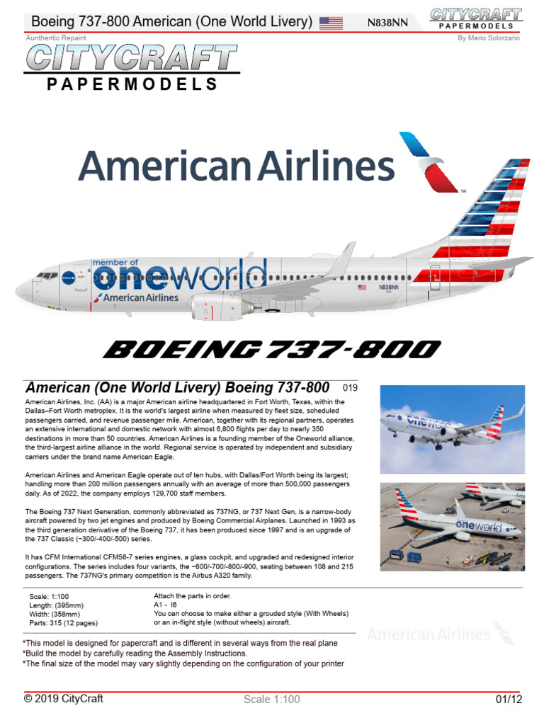 Boeing 737-800 American Airlines (One World Livery) - 1 100 | PDF ...