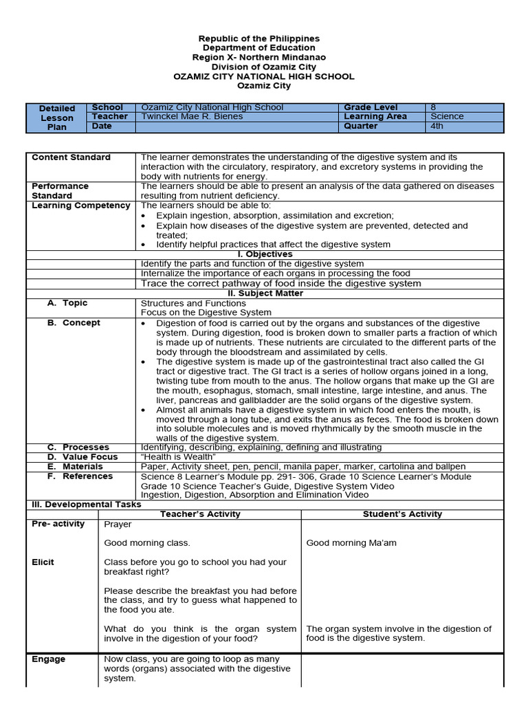 Grade 8 Science Lesson Plan: Digestive System | PDF | Gastrointestinal ...