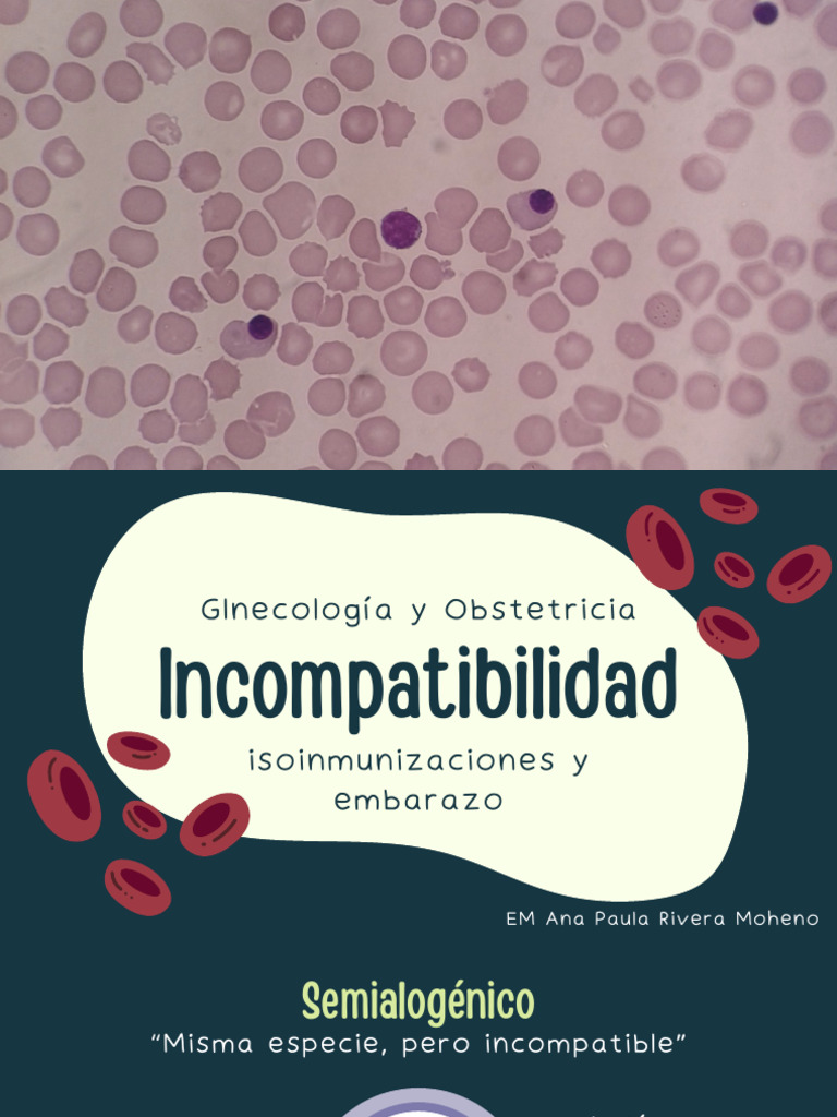 Incompatibilidad Rh y Embarazo: Inmunología | PDF | Sistema inmune ...