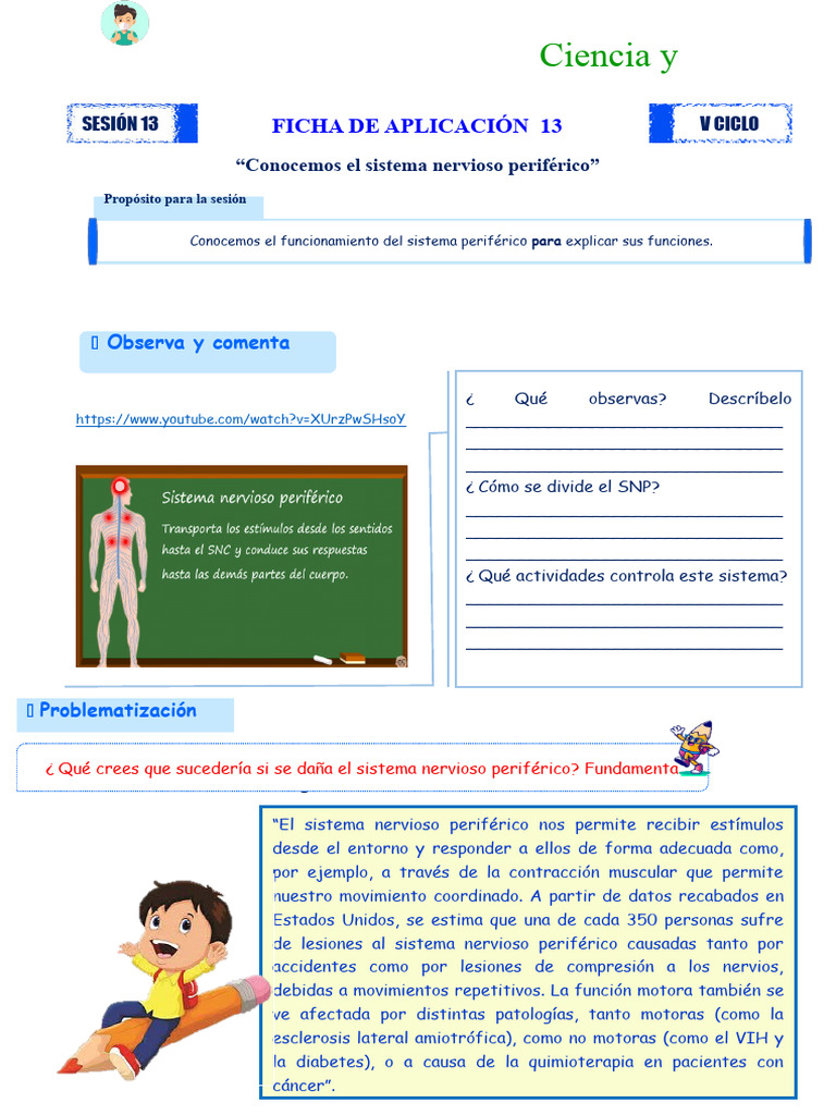 13° - Ficha - de - Aplicación-Sesión0 13°-Sem.2-Exp.7 - C y T | PDF | Sistema nervioso | Nervio