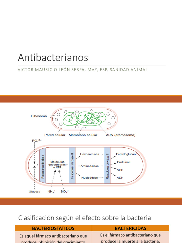 Antibacterianos Presentación | PDF | Penicilina | Bacterias Gram-negativo