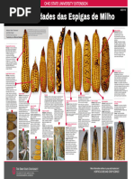 Arasolo - Tabelas de Conversão | PDF