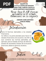 Analisis y Ejemplo de La NIF B-6 - Estado de Situacion Financiera | PDF ...