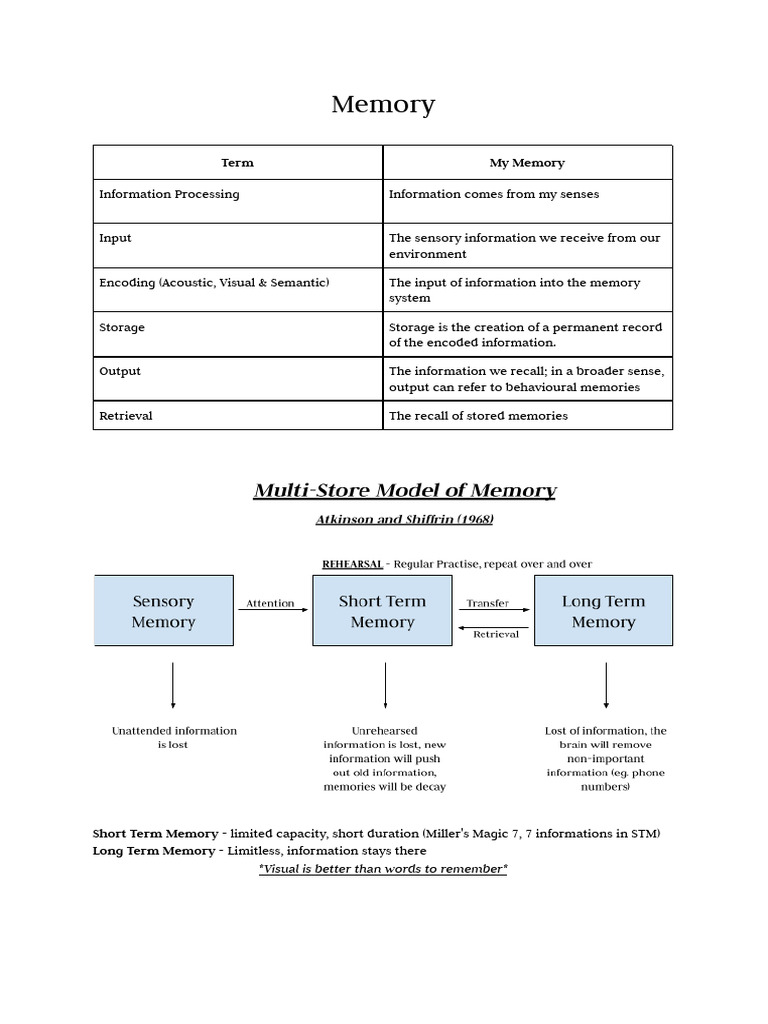 Psychology - Memory | PDF
