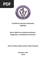 Anatomia de La Vulva | PDF | Vagina | Ginecología
