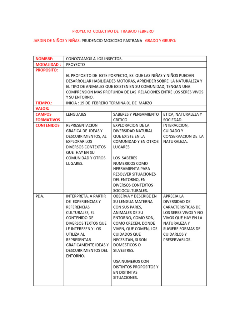 Proyecto Insectos-1 | PDF | Abejas | Mosca