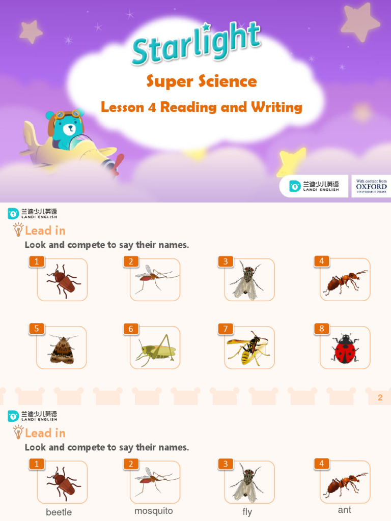 Nocturnal Bug Study Guide | PDF | Pronoun | Noun