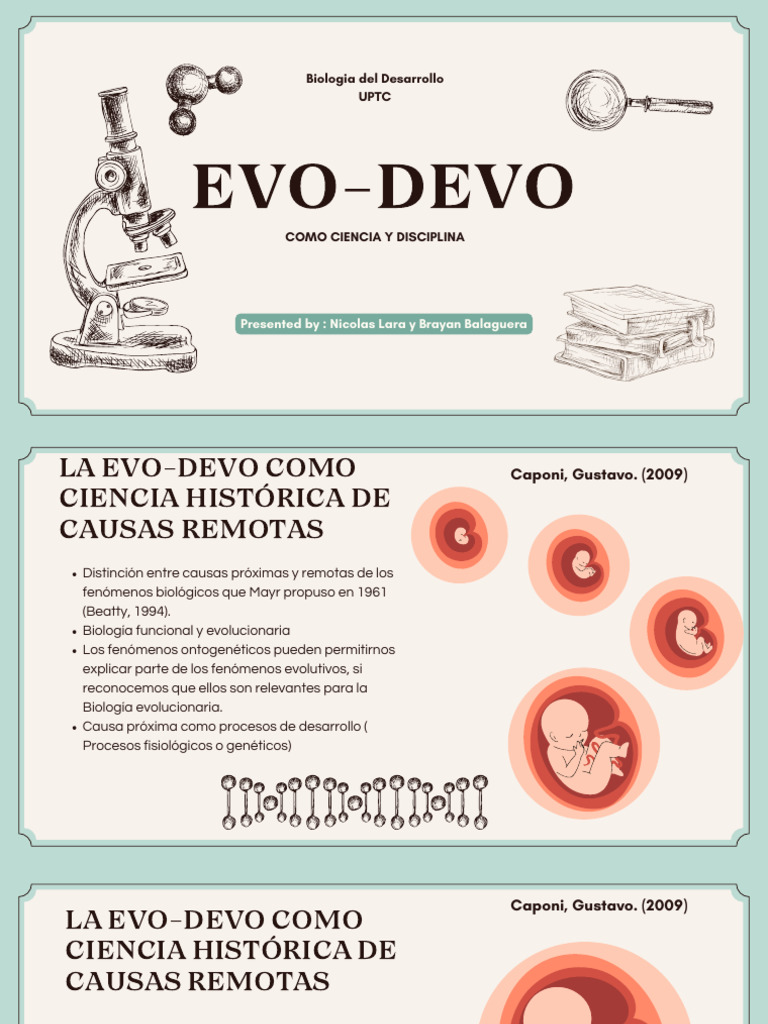EVO-DeVO Nicolas Lara y Brayan Balaguera | PDF | Biología evolutiva del desarrollo | Evolución