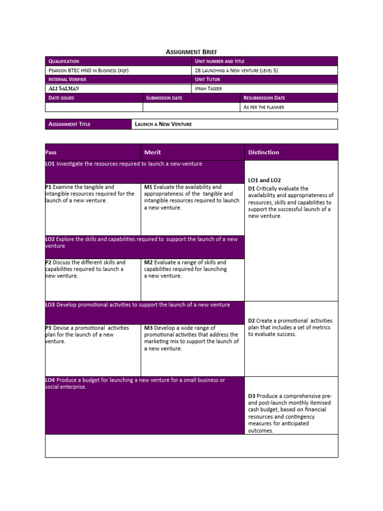 Launching a New Venture Report Guide | PDF | Entrepreneurship | Business