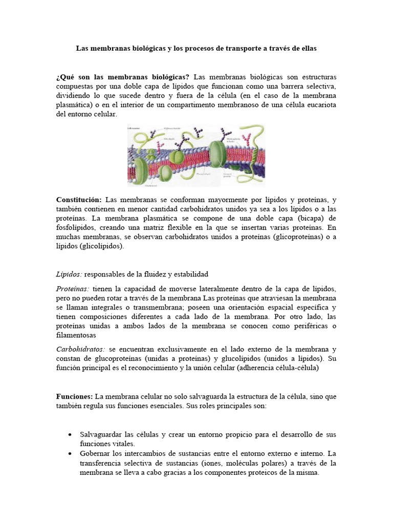 MEMBRANAS BIOLÓGICAS | PDF | Membrana celular | Biología Celular)