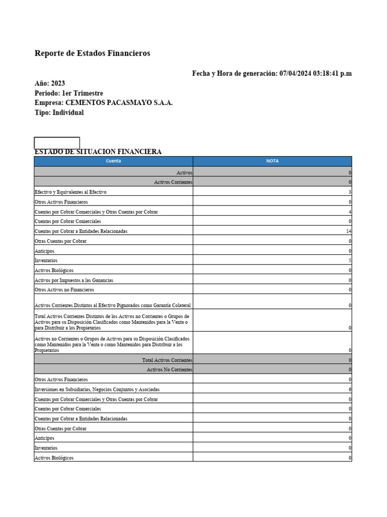 Reporte Detalle Informacion FinancierO | PDF | Contabilidad | Compartir (Finanzas)