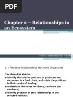 Food Chains and Webs for Class 10 | PDF | Food Web | Foods