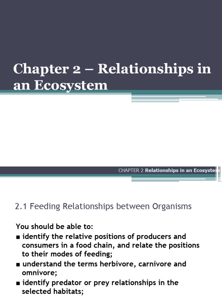 Chapter 02 - Relationships in An Ecosystem | PDF | Food Web | Ecosystem