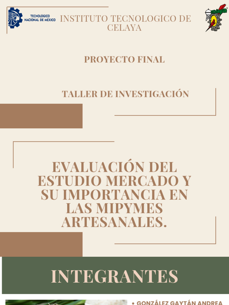 Proyecto final (1) | PDF | Pequeñas y medianas empresas | Investigación de mercado