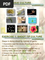 Weber Reilly Test | PDF | Solubility | Salt (Chemistry)