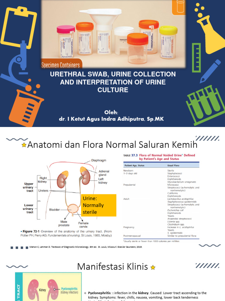 Lecture 23. Urethral Swab, Urine Collection, and Interpretration of Urine Culture | PDF ...