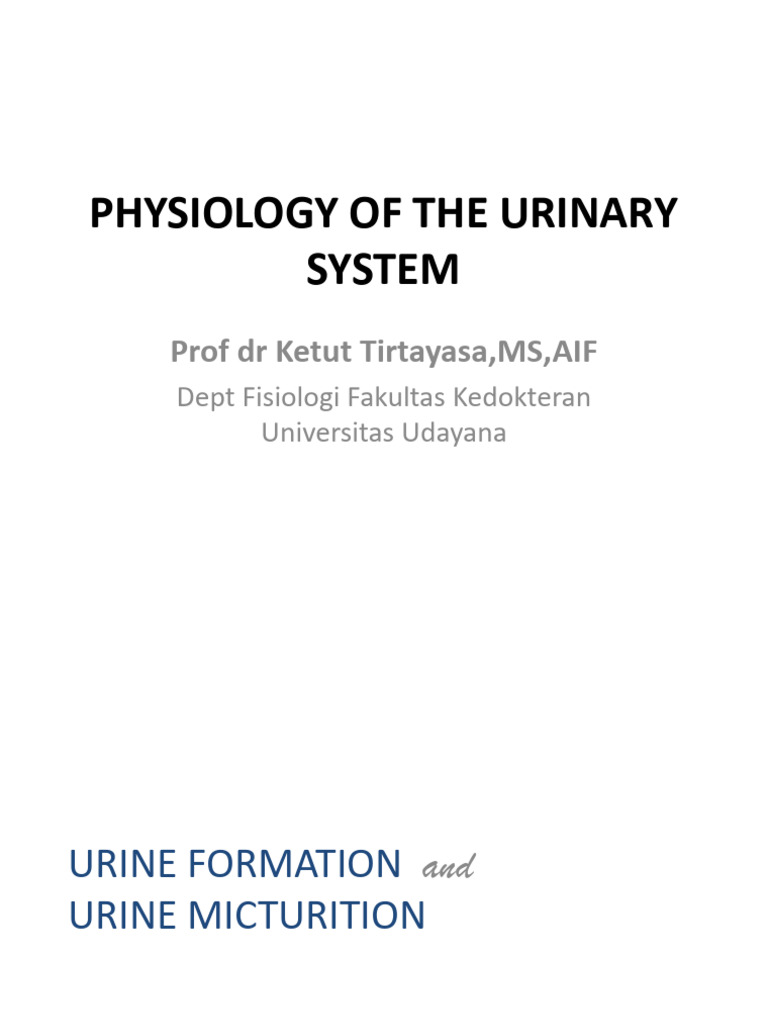 Lecture 3. Physiology of Urinary System | PDF