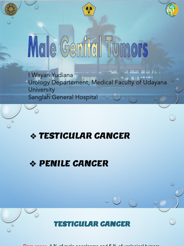 Lecture 27.2. Male Genital Tumors (Testis - Penile Cancer) | PDF ...