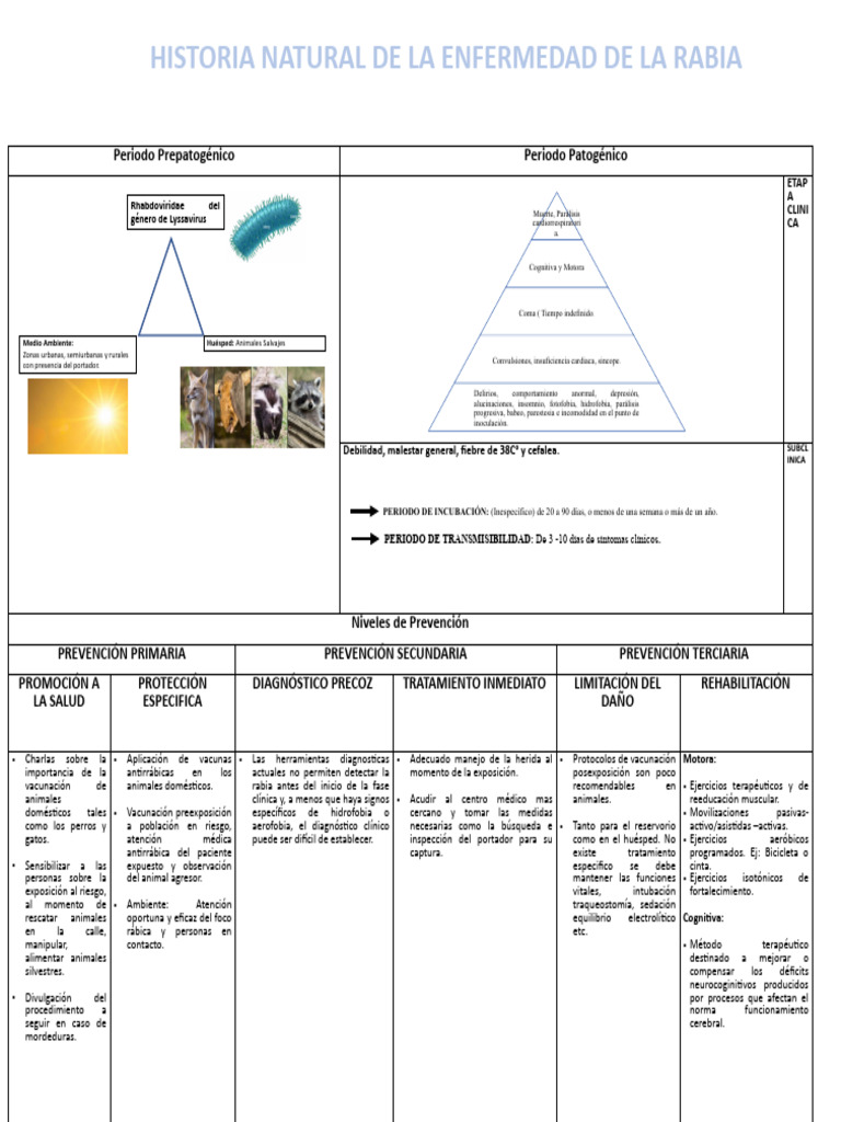 Historia Natural de La Enfermedad | PDF | Rabia | Medicina CLINICA