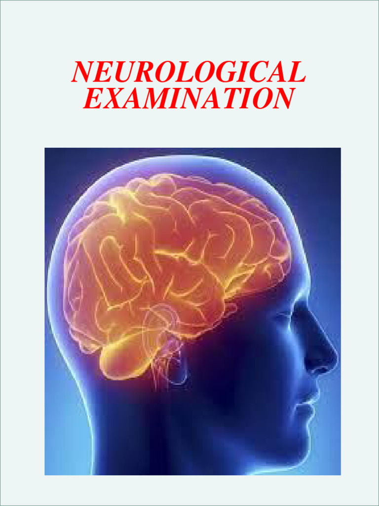 Neurological Examination PDF | PDF | Anatomical Terms Of Motion | Coma