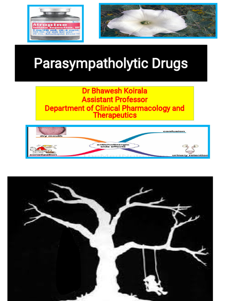 4,5,6) Parasympatholytic Drugs | PDF | Drugs | Drugs Acting On The ...