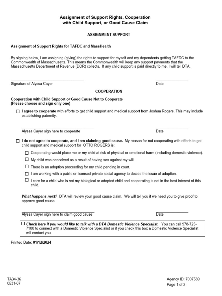 PDF Document | PDF | Child Support | Family