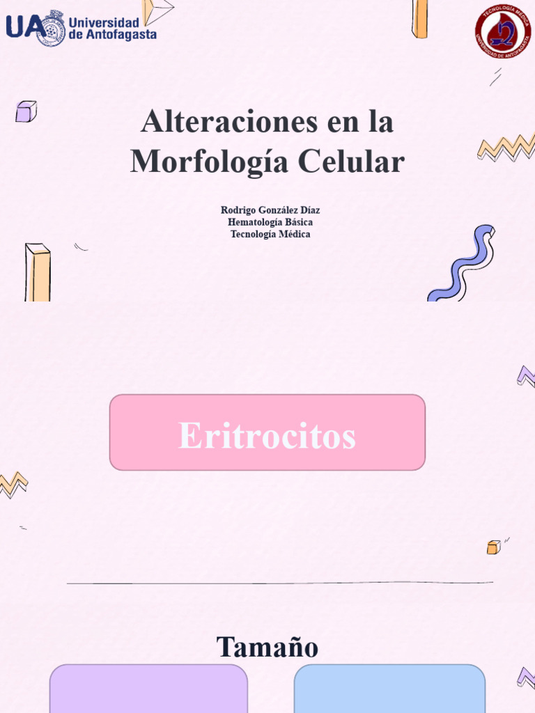 6. Alteraciones en La Morfología Celular | PDF | Nucleo celular | Leucocito