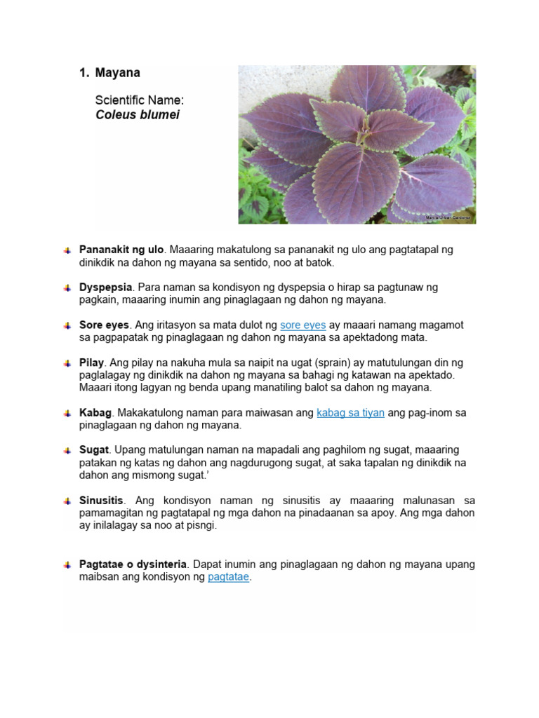 Herbal Plants ESP - USES | PDF