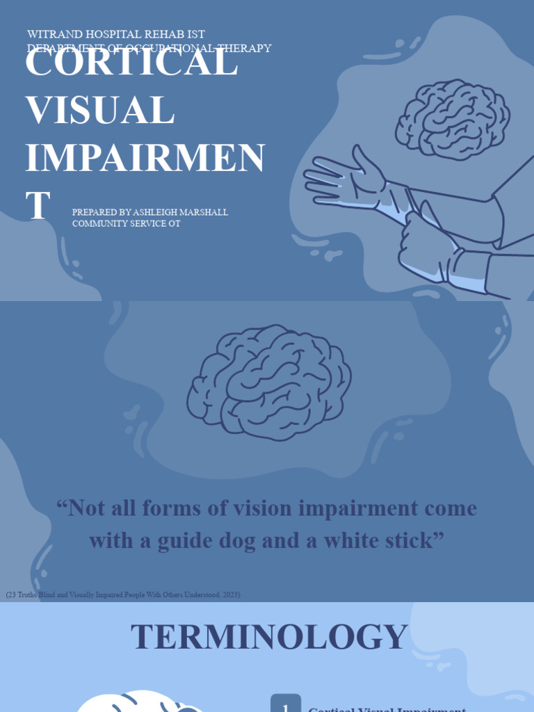 Rehab IST - CVI | PDF | Visual Impairment | Visual Perception