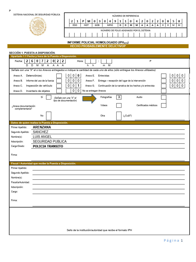 Iph - Editable - Luis 29 1 | Descargar gratis PDF | Queja | Justicia