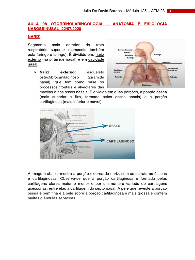 Anatomia do Nariz e Cavidade Nasal | PDF | Anatomia | Anatomia humana
