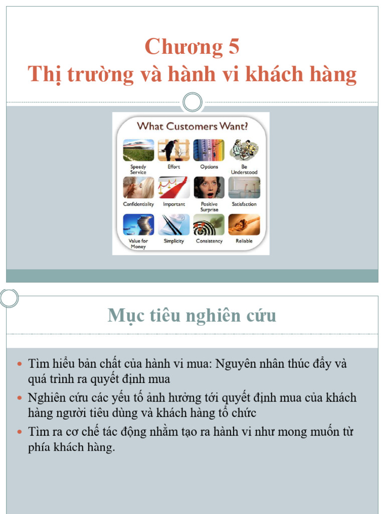Chuong 5 - Phan Tich Hanh VI Khach Hang | PDF