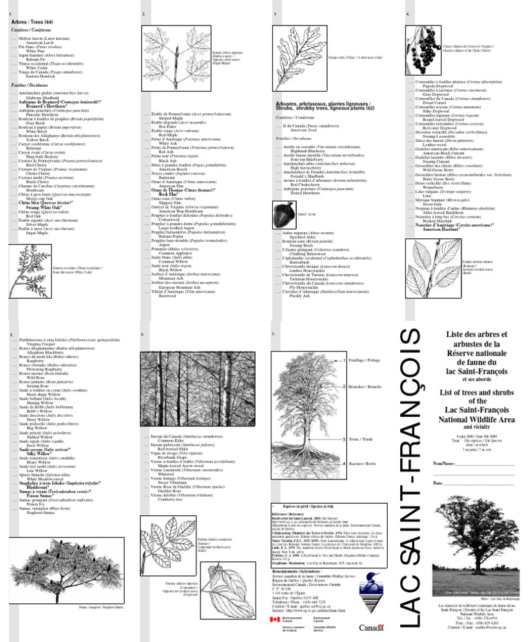 Liste des arbres et arbustes du lac Saint-François | PDF | Arbres | Plantes