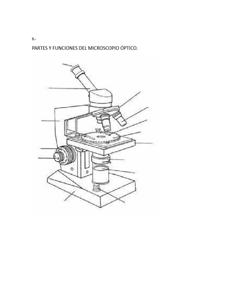 Dibujo Microscopio Optico. | PDF Dibujo Microscopio Optico. | PDF