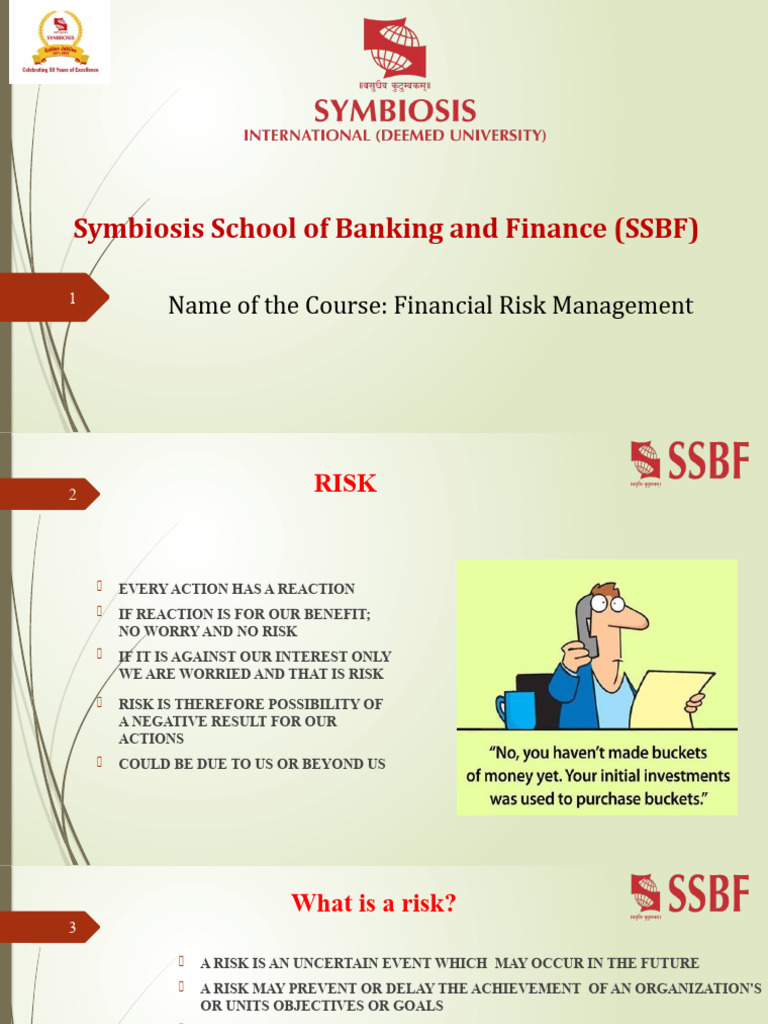 Chapter 1 - Financial Risk | Download Free PDF | Financial Risk | Risk