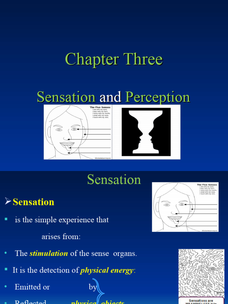 Unit - 2A - Sensation & Perception. | PDF | Senses | Perception