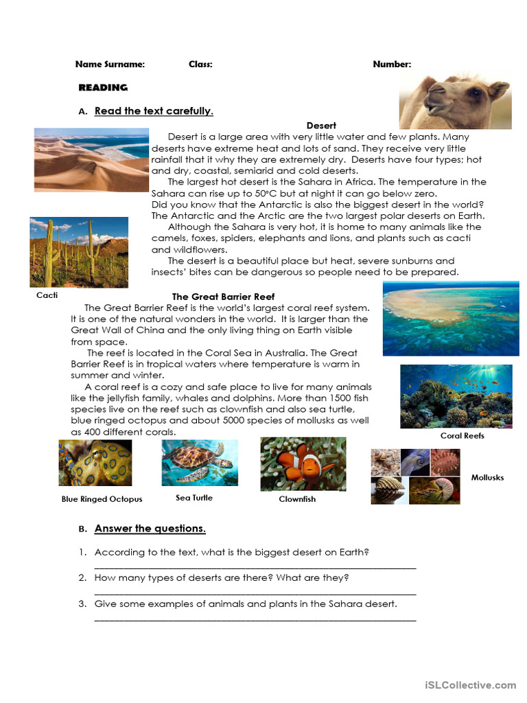 Landscapes - Reading Homework | PDF | Desert | Coral Reef
